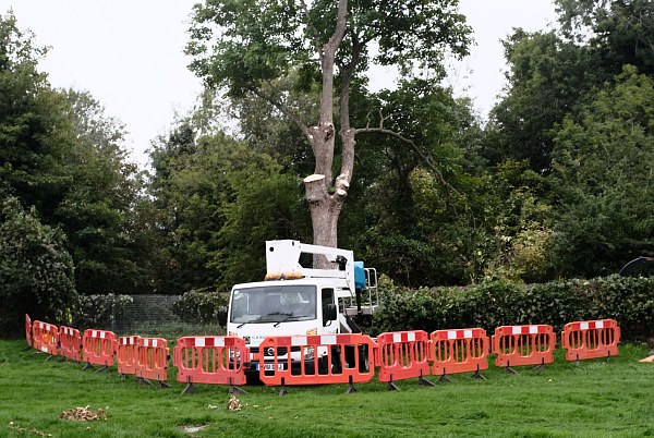 Abingdon Blog | News and Pictures